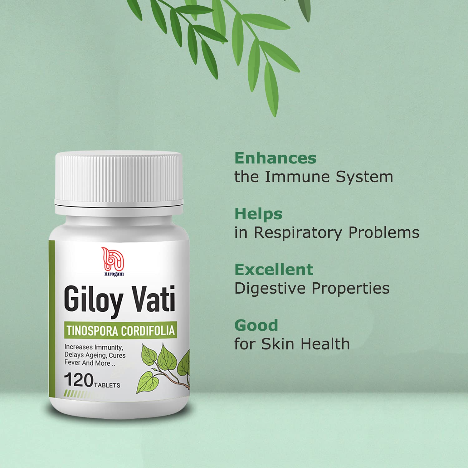 nutritional support with Giloy Vati
