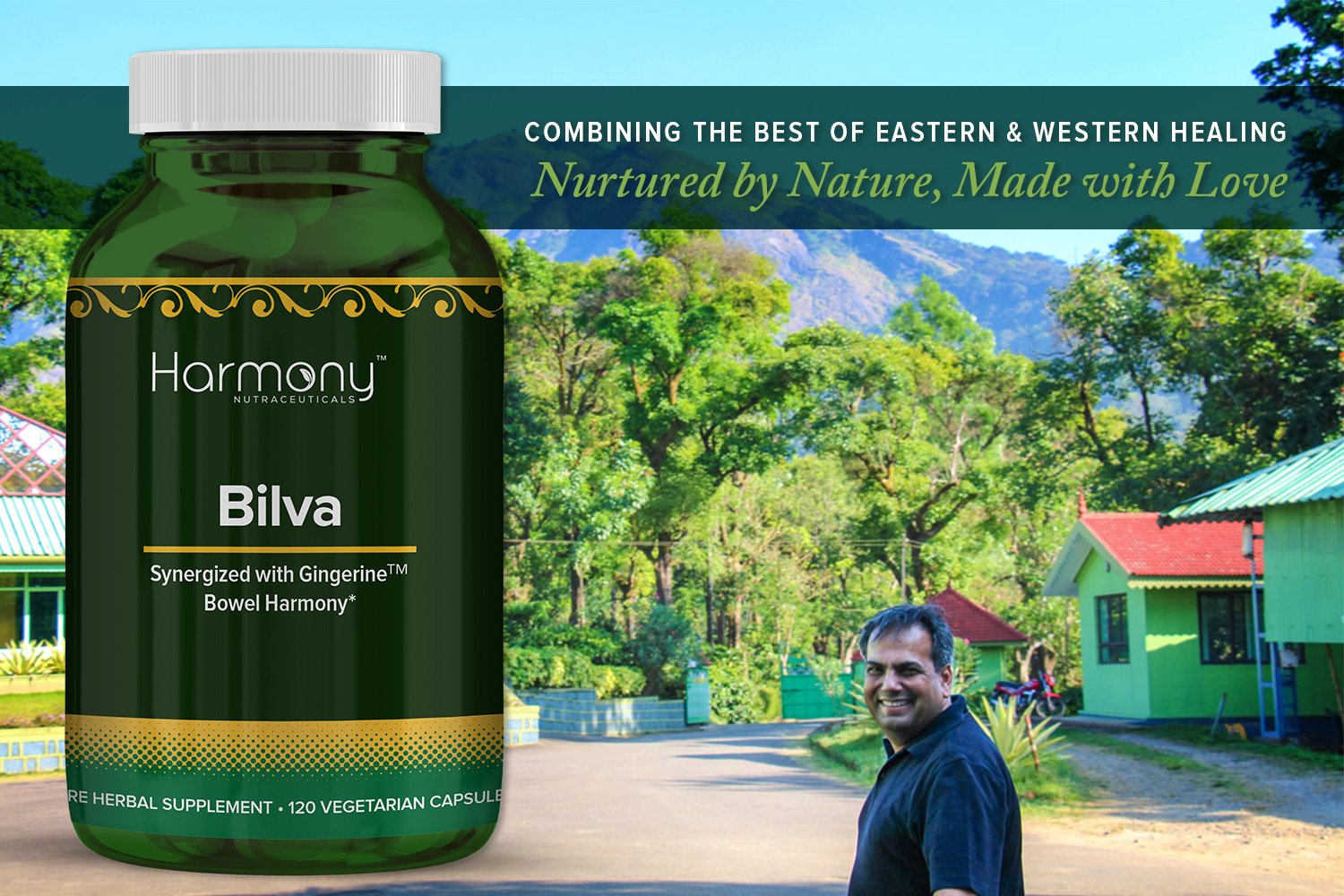 Nutritional support with ginger extract