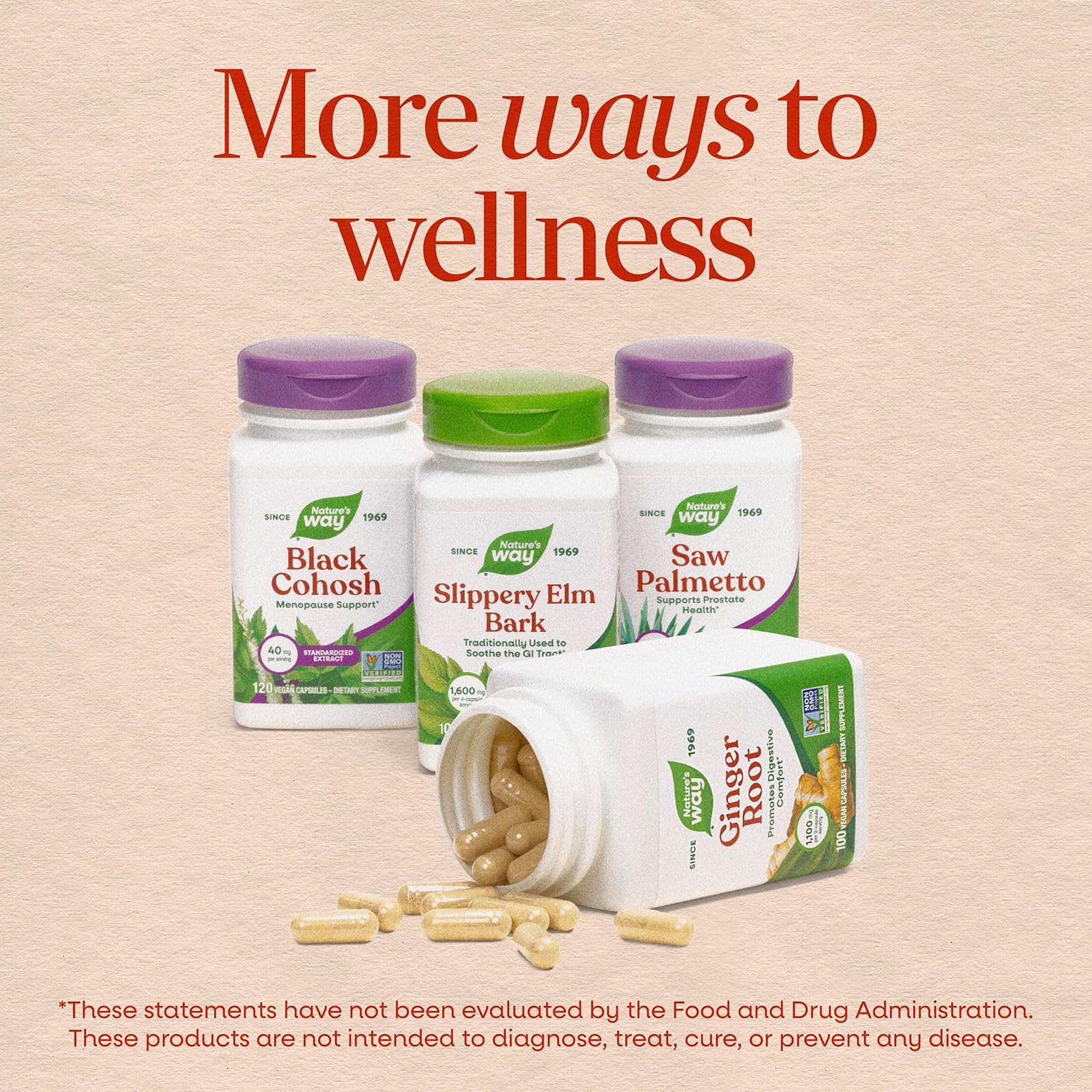 Nutritional support with Inositol capsules