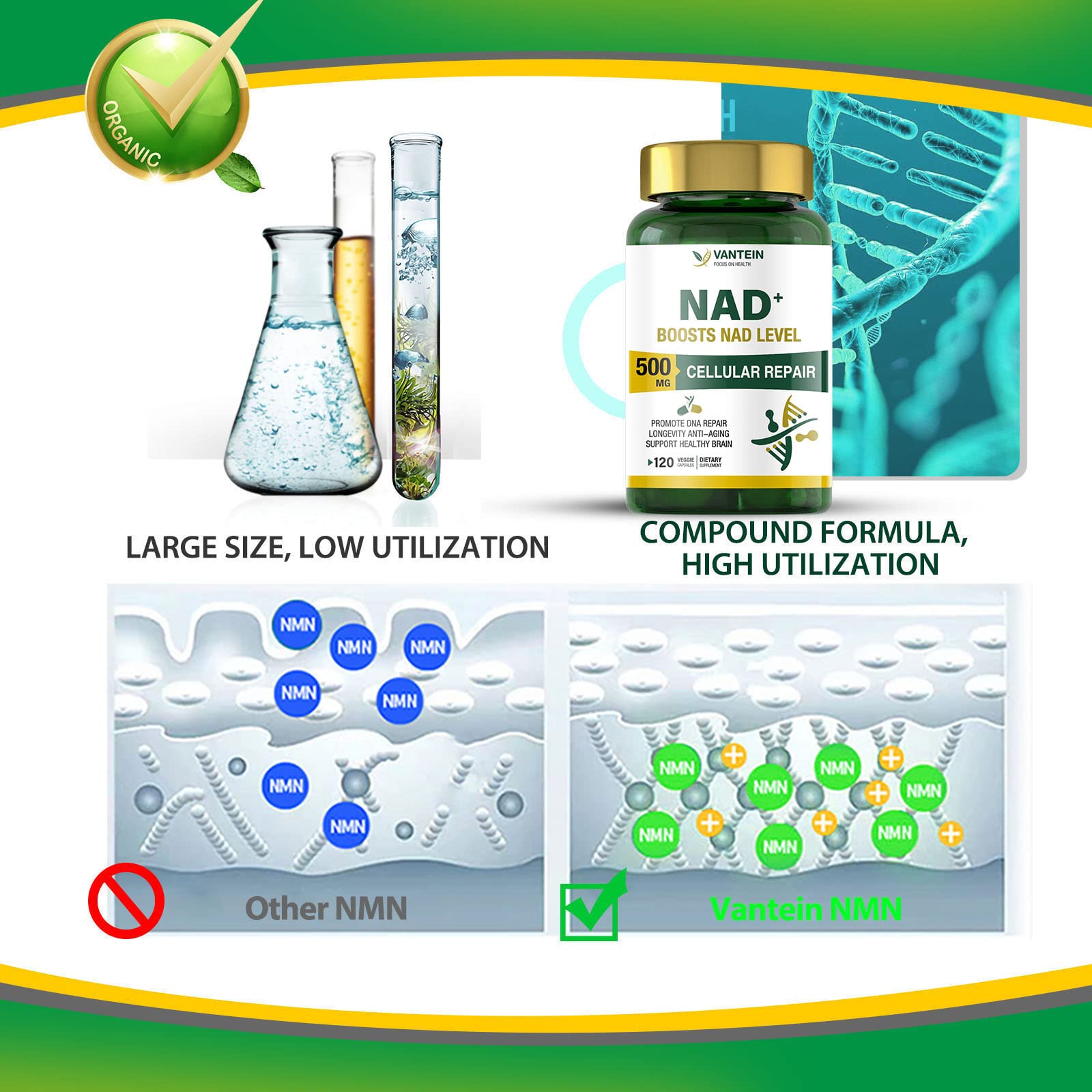 nutritional support with Vantein NAD supplement