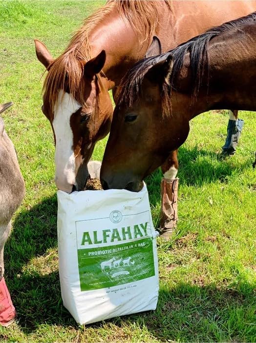 nutritious alfalfa for healthier animals