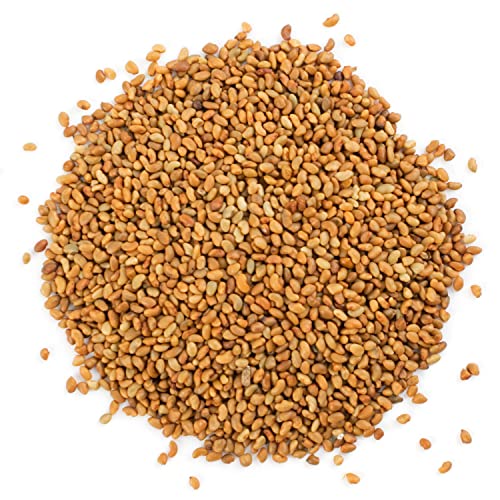 Nutritious alfalfa sprouting seeds