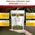 nutritious avocado leaves herbal infusion