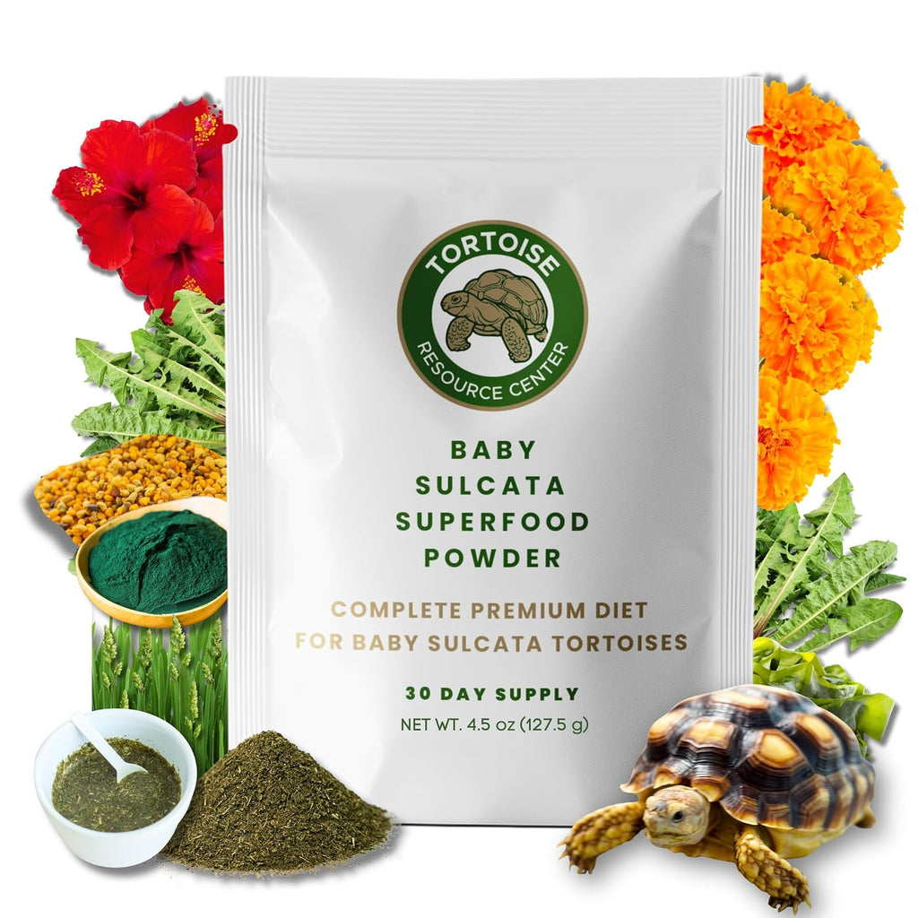 nutritious baby sulcata calcium food