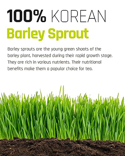nutritious barley sprout tea blend
