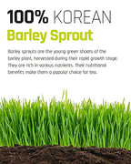 nutritious barley sprout tea blend