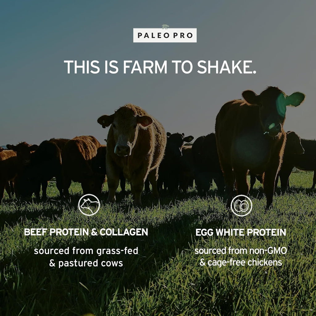 nutritious beef protein for smoothies