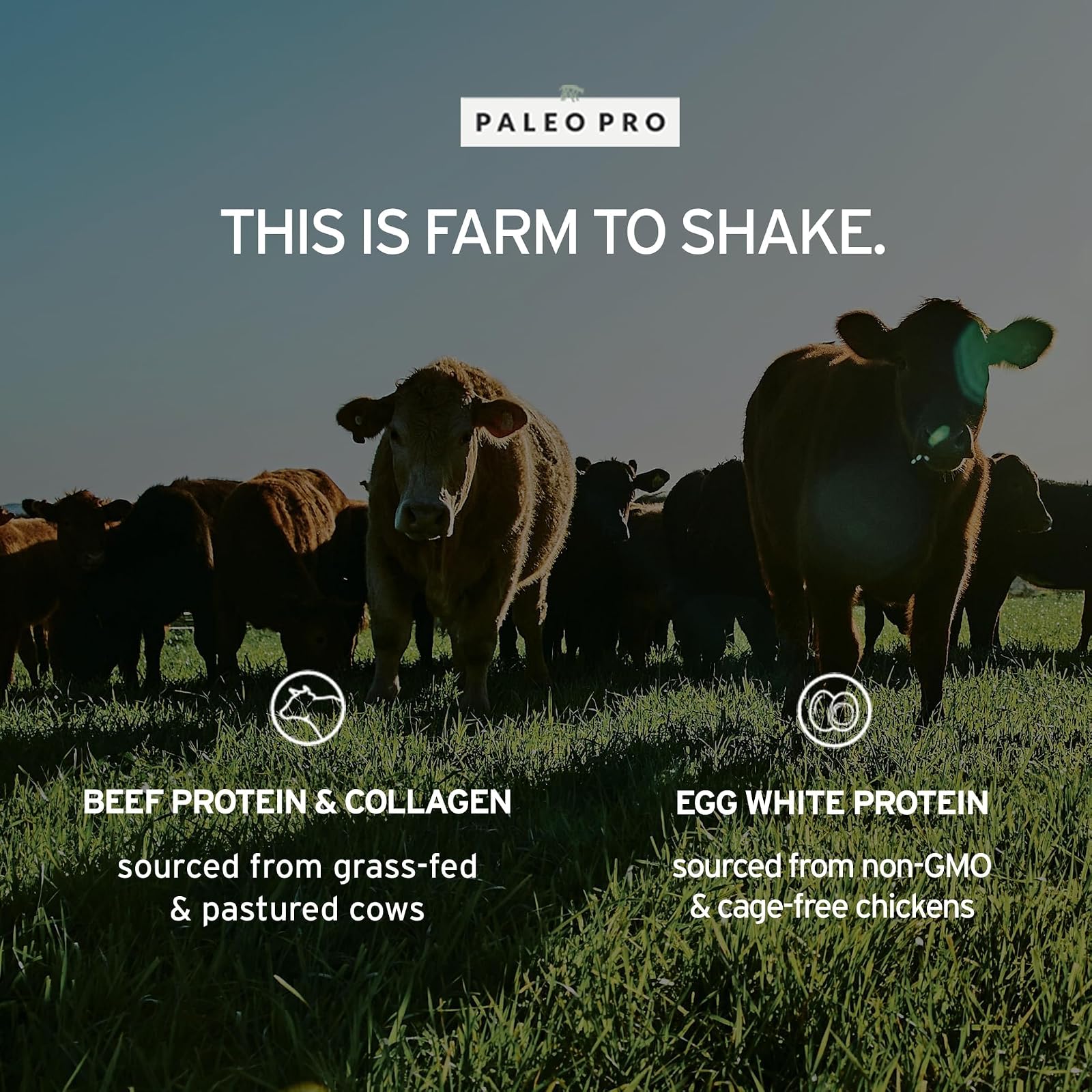 nutritious beef protein for smoothies