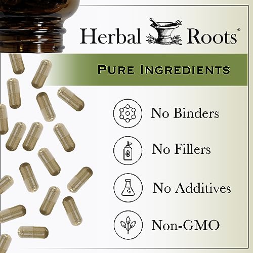 nutritious beet root powder health