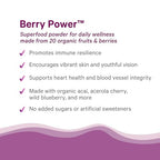 nutritious berry powder for baking
