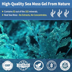 nutritious blue spirulina sea moss gel