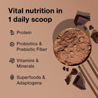 nutritious BODi whey protein for athletes