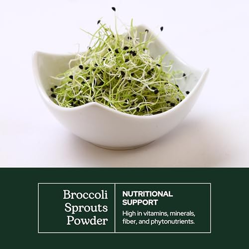 nutritious broccoli sprouts powder for kids