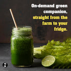 nutritious celery juice for wellness