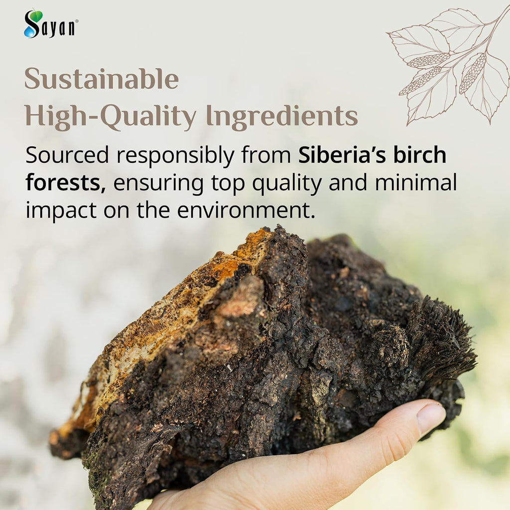 nutritious chaga mushroom pieces