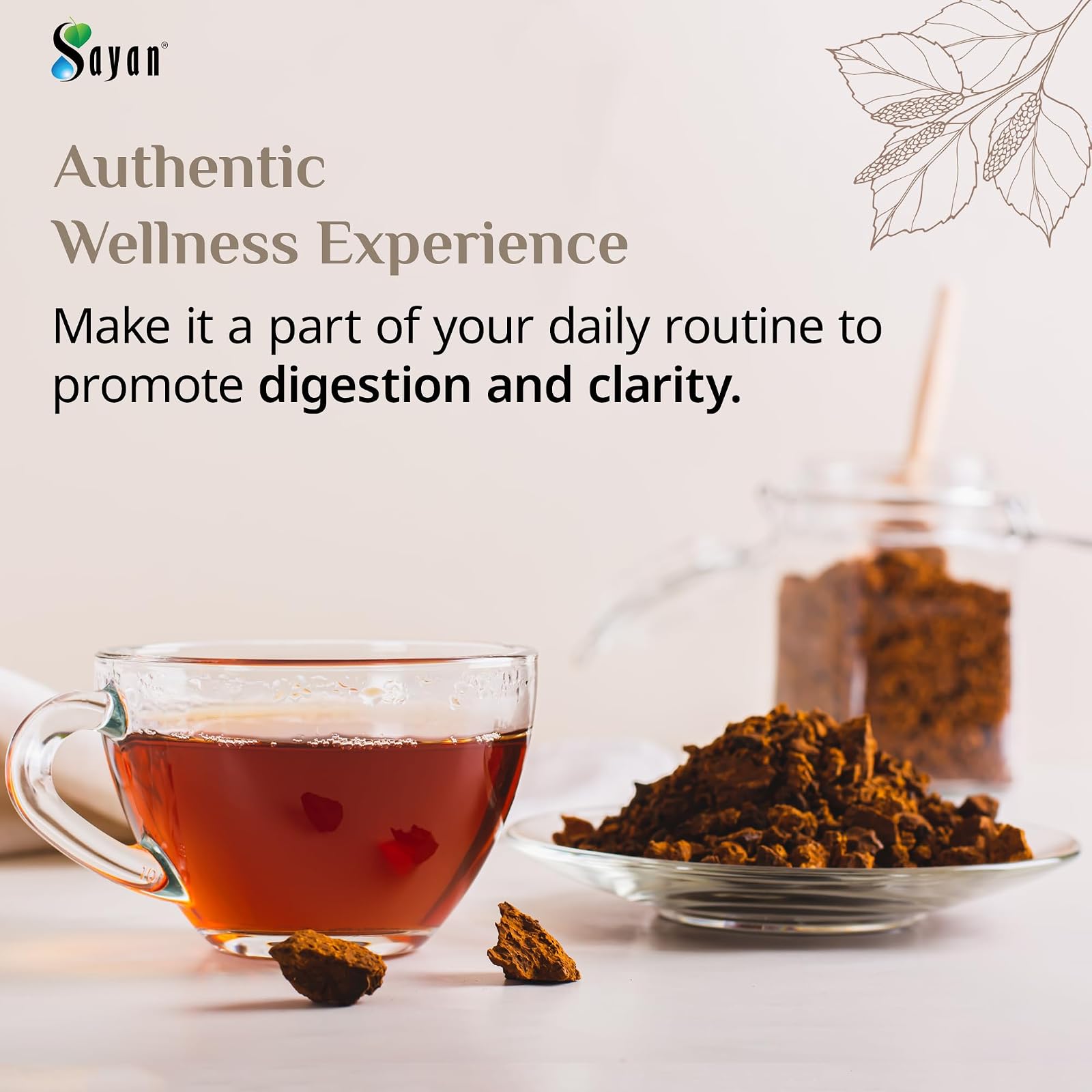 nutritious chaga powder supplement