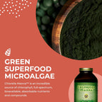 nutritious chlorella for daily health