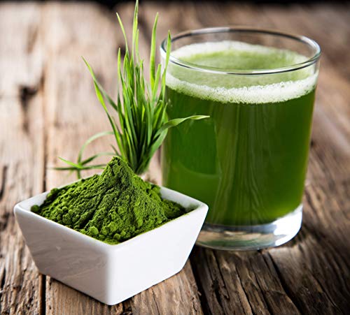 nutritious chlorella for detox diets