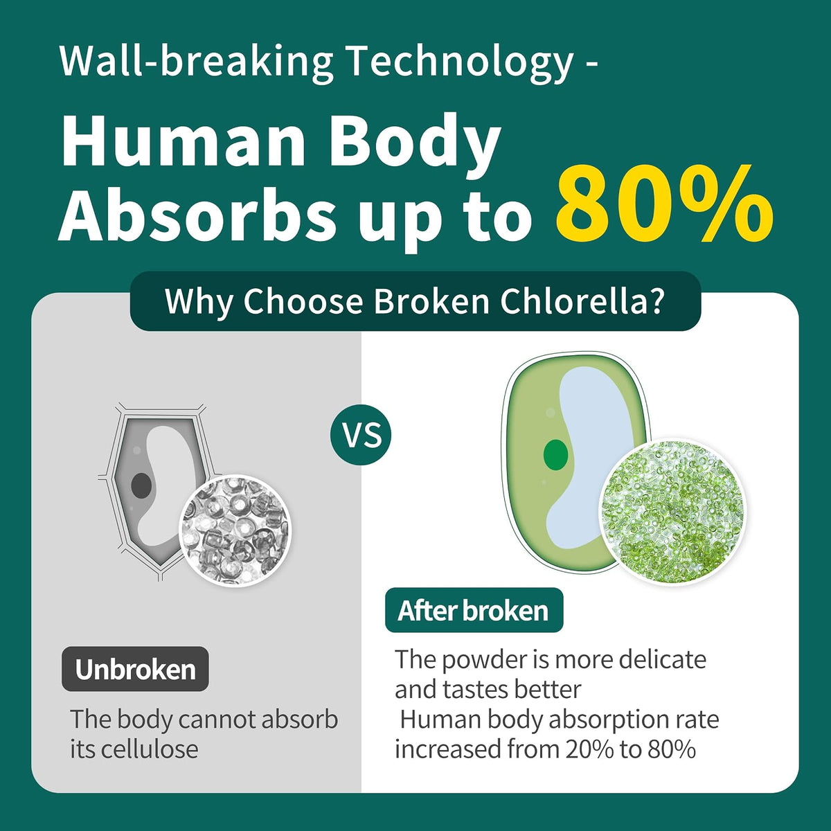 nutritious chlorella powder for energy