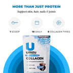 nutritious chocolate collagen drink