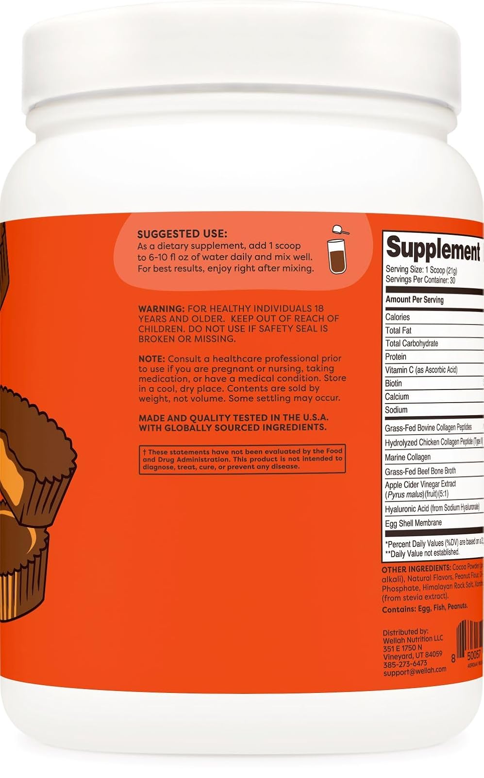 nutritious chocolate collagen supplement