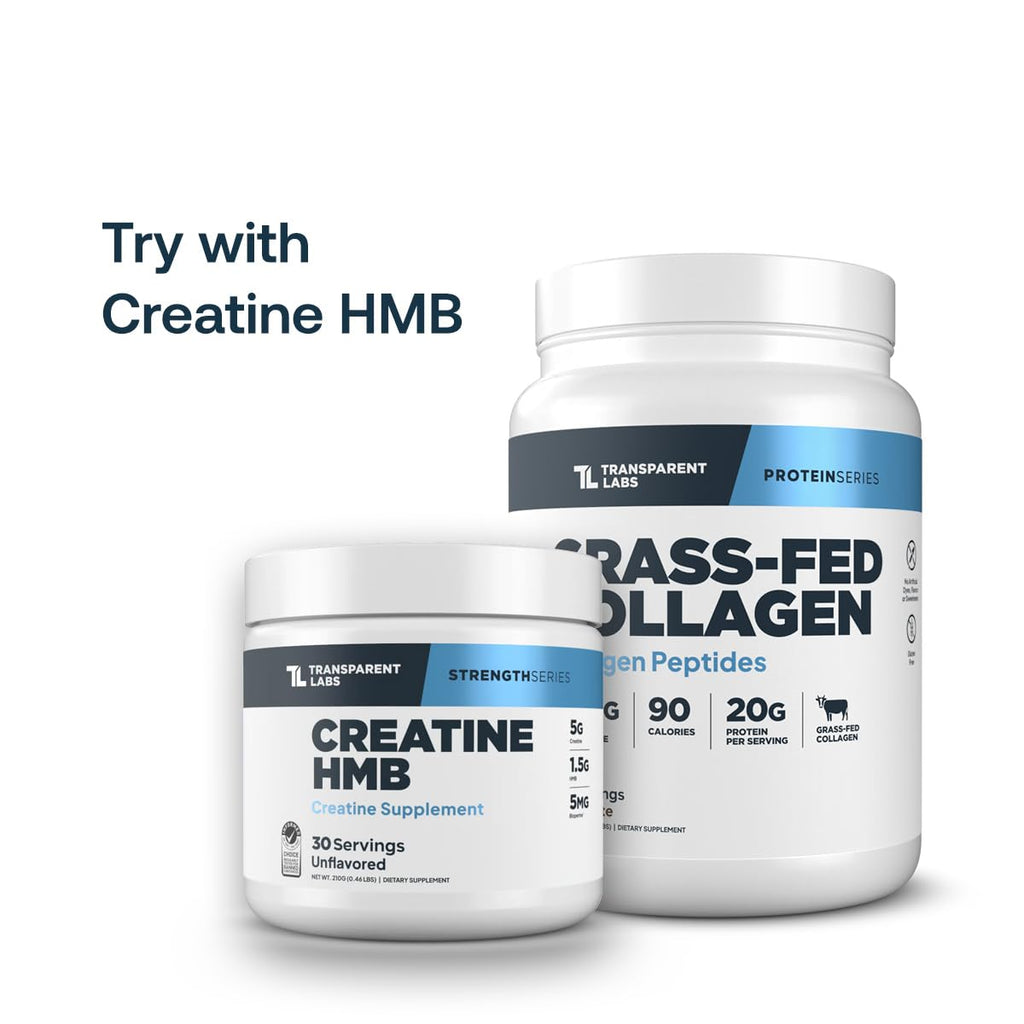 nutritious chocolate collagen supplement