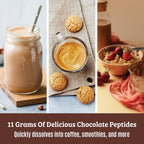 nutritious chocolate collagen supplement