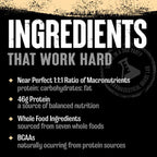 nutritious chocolate protein supplement