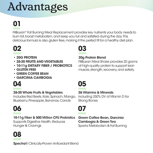 nutritious chocolate shake for fat burning