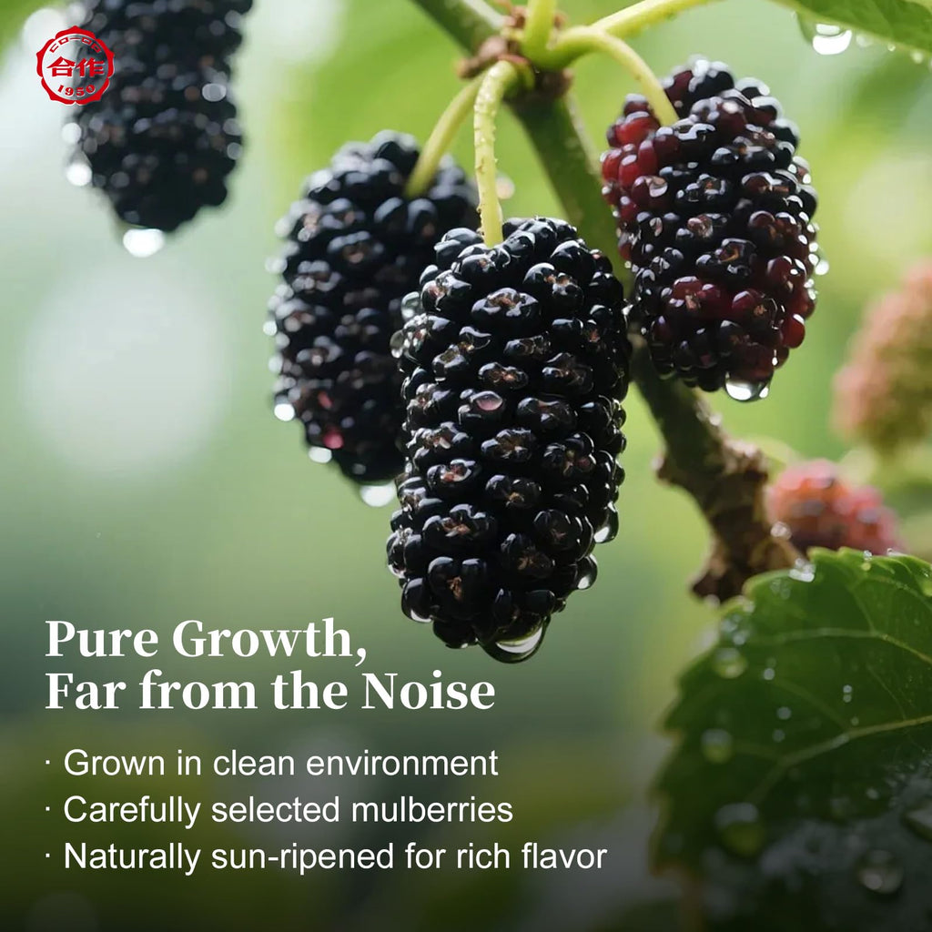 nutritious CO-OP black mulberries