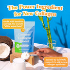 nutritious collagen creamer for smoothies