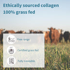 nutritious collagen powder supplement