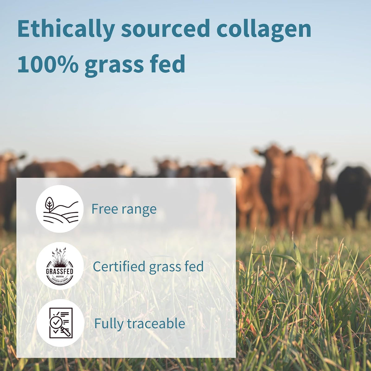 nutritious collagen powder supplement