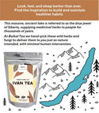 nutritious dandelion tea substitute