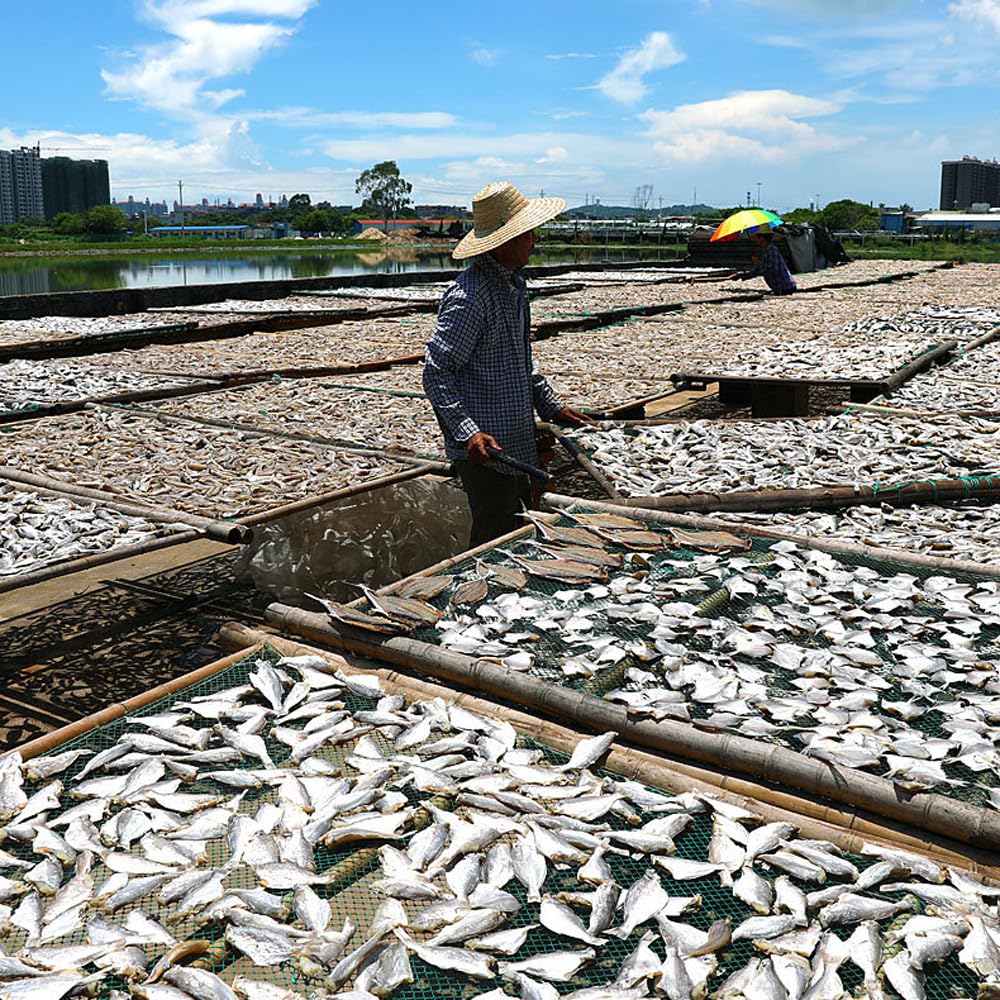 Nutritious dried fish for health