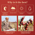 nutritious dried fruit jujube dates