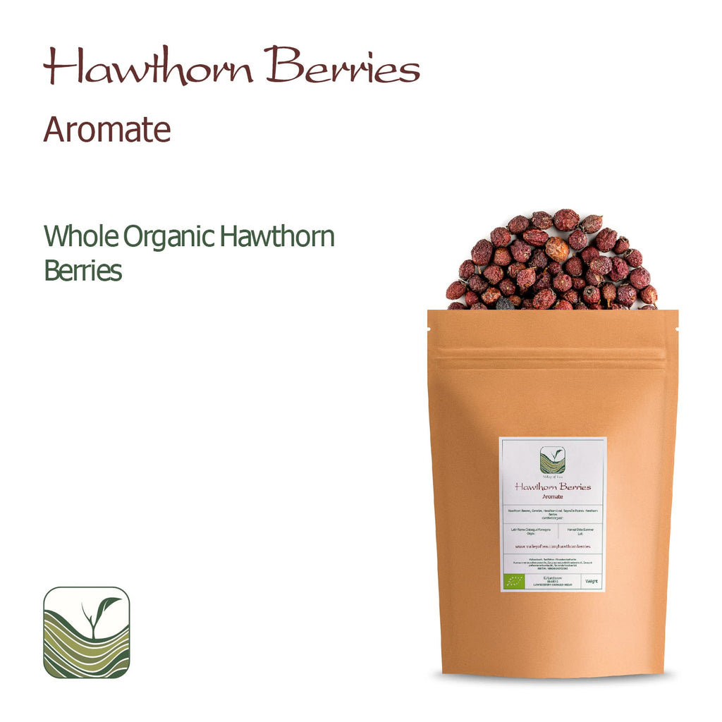nutritious dried hawthorn fruit