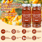 nutritious dried sea buckthorn fruit