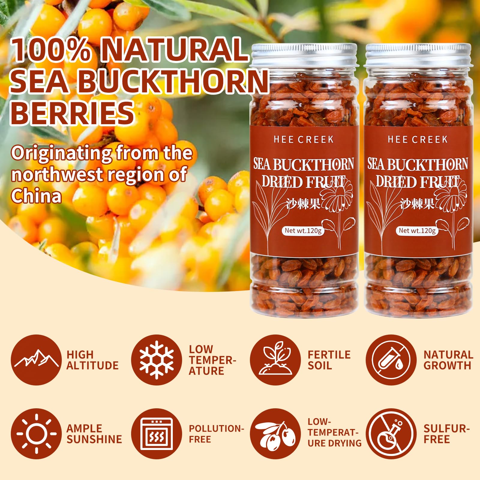 nutritious dried sea buckthorn fruit