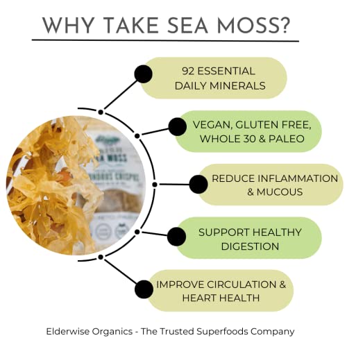 nutritious dried seaweed & nori snacks