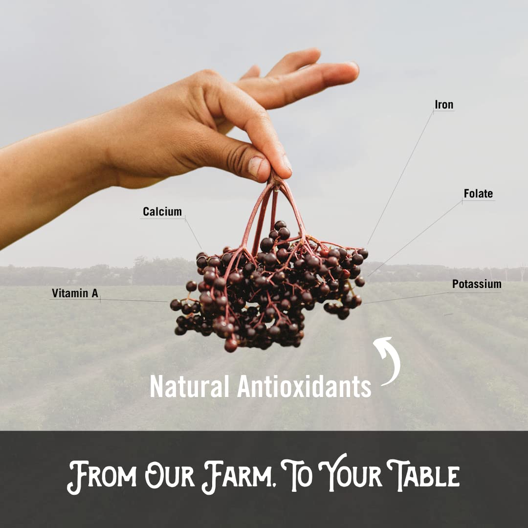 nutritious elderberry extract for families