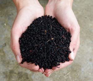 nutritious elderberry fruit for smoothies