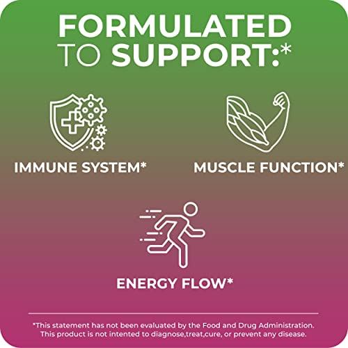 nutritious elderberry gummies for daily health