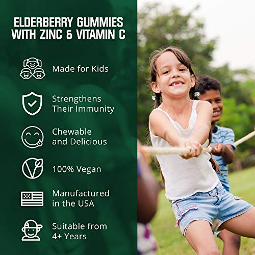 nutritious elderberry gummies for daily use