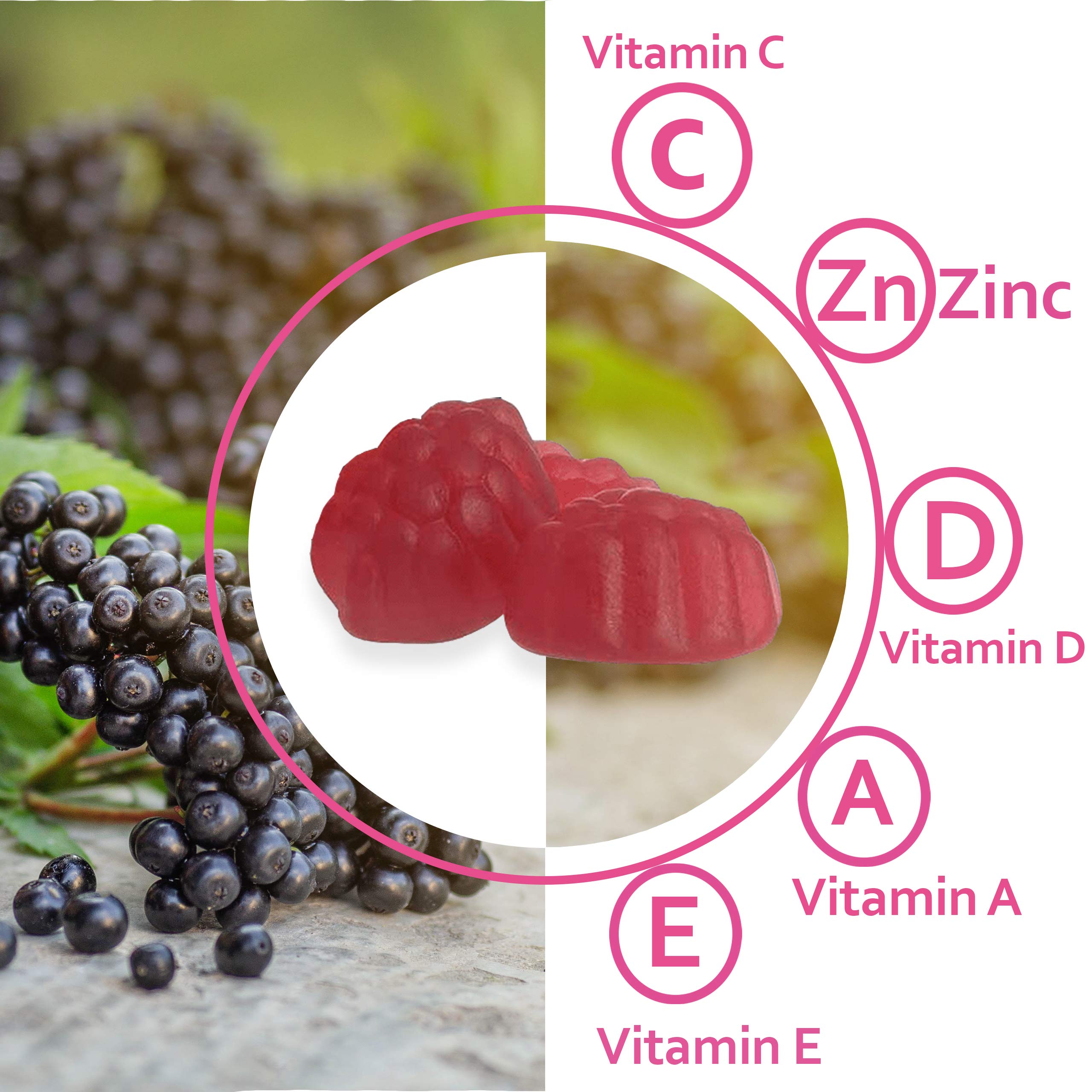 nutritious elderberry gummies for families