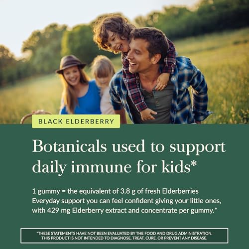 nutritious elderberry gummies for kids