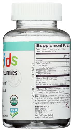 nutritious elderberry gummies for wellness