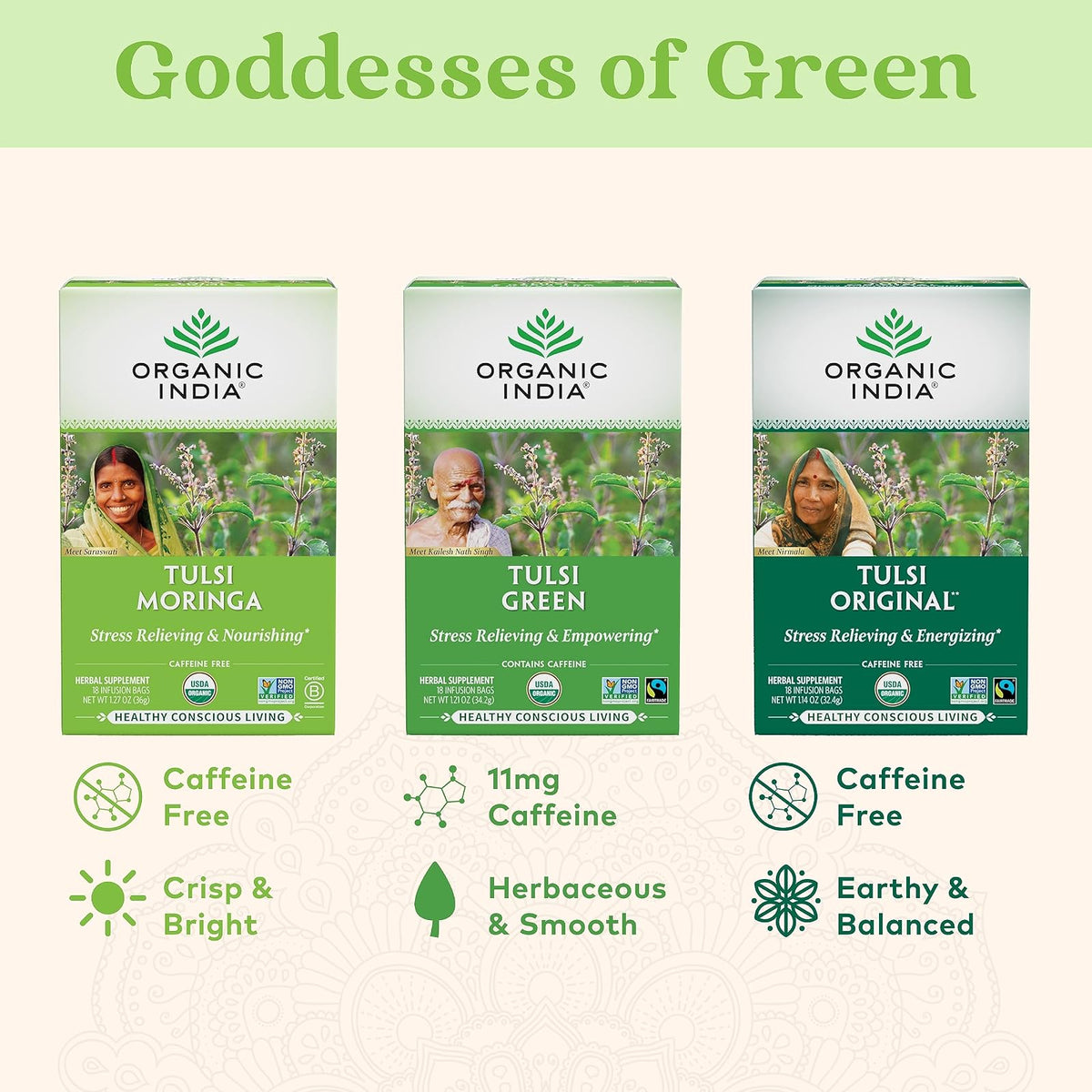 nutritious green tea extract infusion