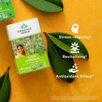 nutritious green tea extract infusion