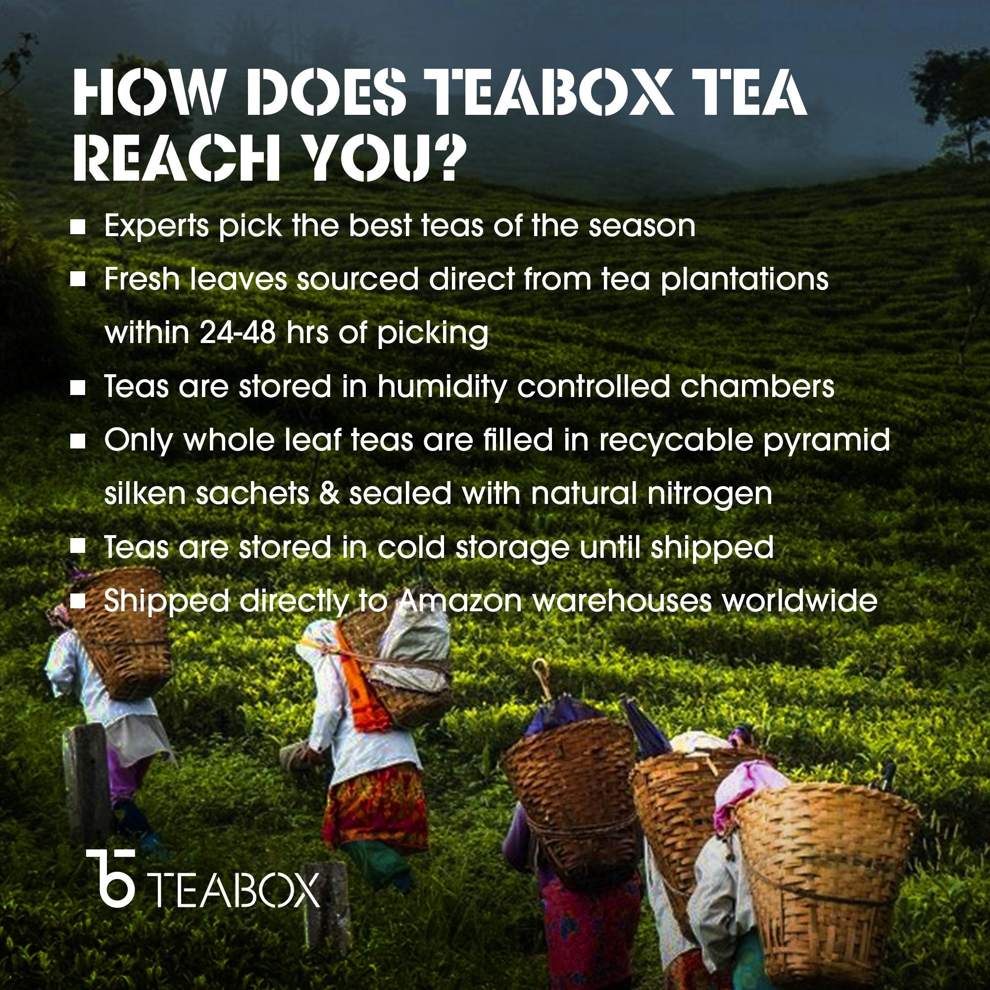 nutritious green tea for health